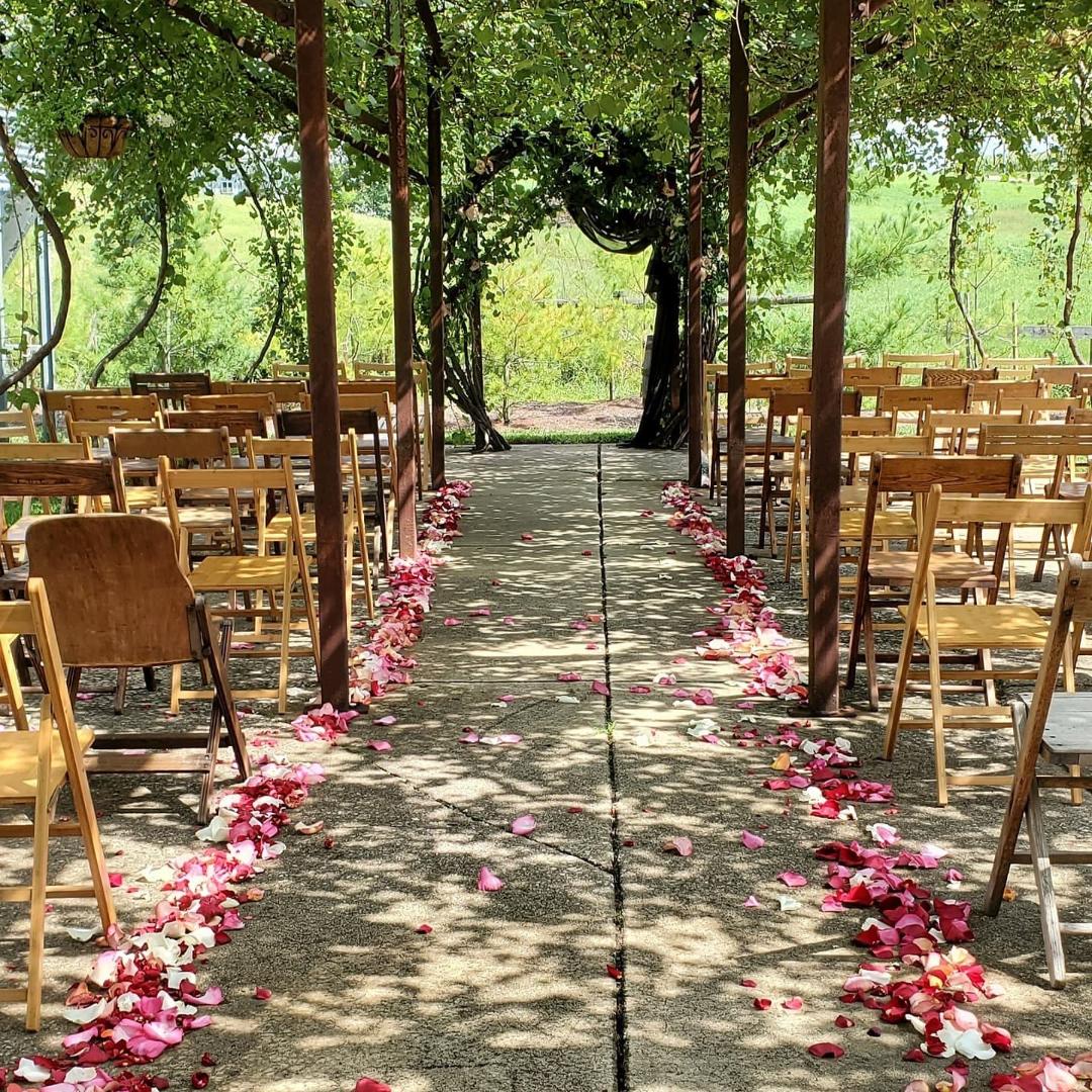 WPG Photo – White Pine Grove